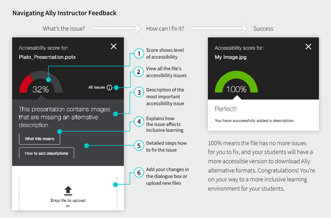 Ally for Instructors