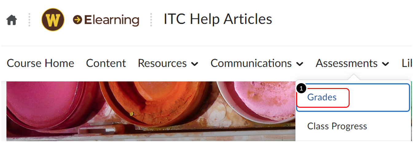 Student: Viewing Grades in Elearning