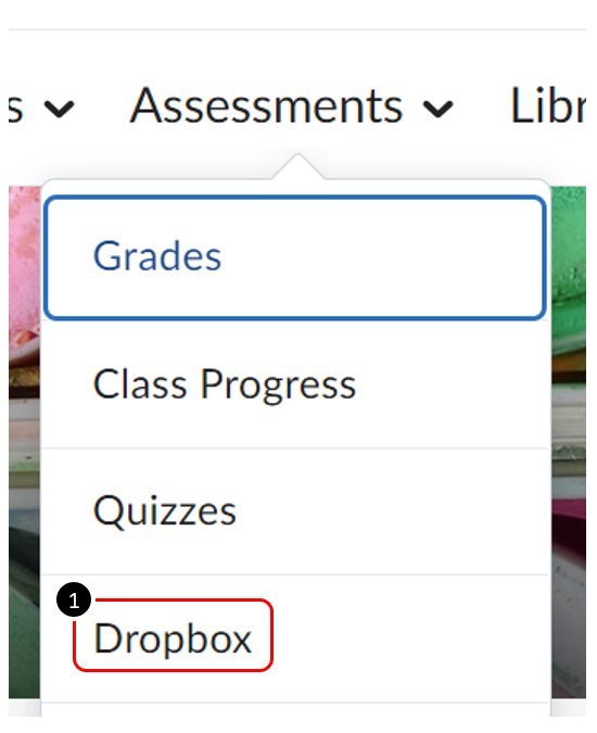 Student: Viewing Feedback Provided in a Dropbox