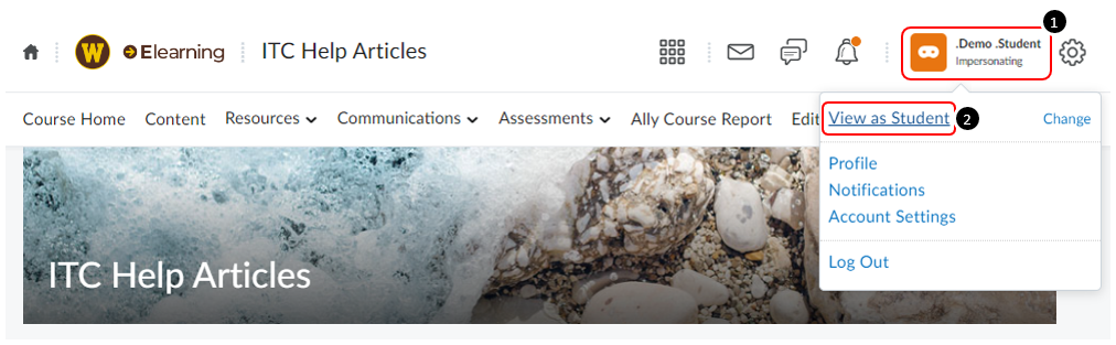 Viewing Your Elearning Course as a Student